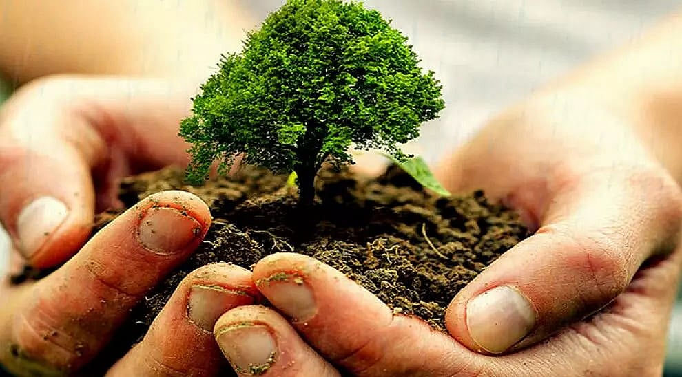 Mega Plantation Drive Done by Gauhati University's NSS Cell