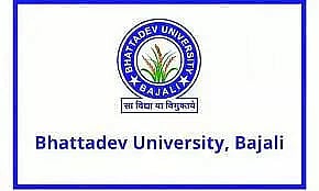 Bhattadev University Recruitment 2023- Assistant & Professor Vacancy ...