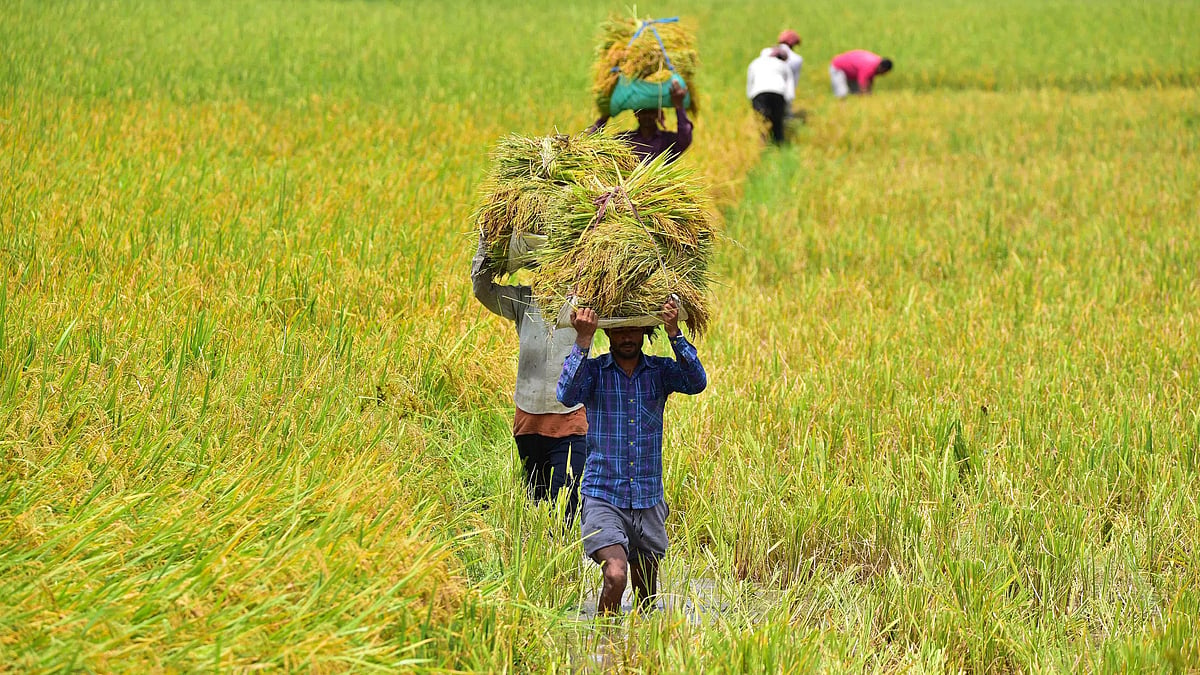 Now, central forces playing key role to help farmers in Manipur