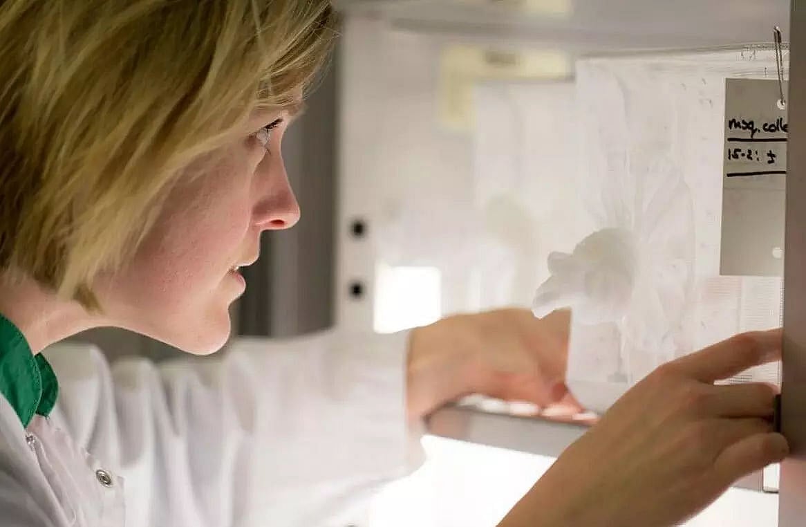 ‘Human Model’ code for infection studies