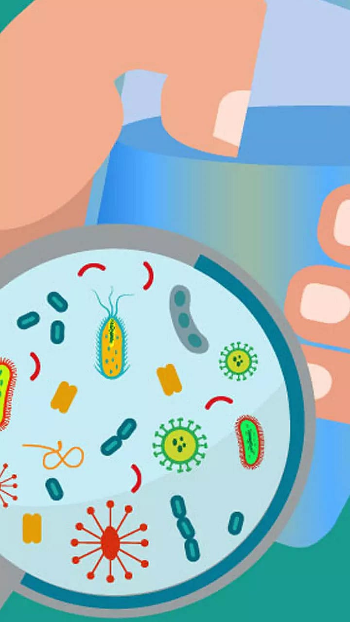 Common Waterborne Diseases