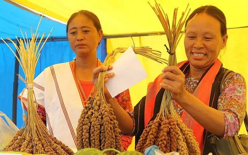 Discover the healthy world of alternative grains