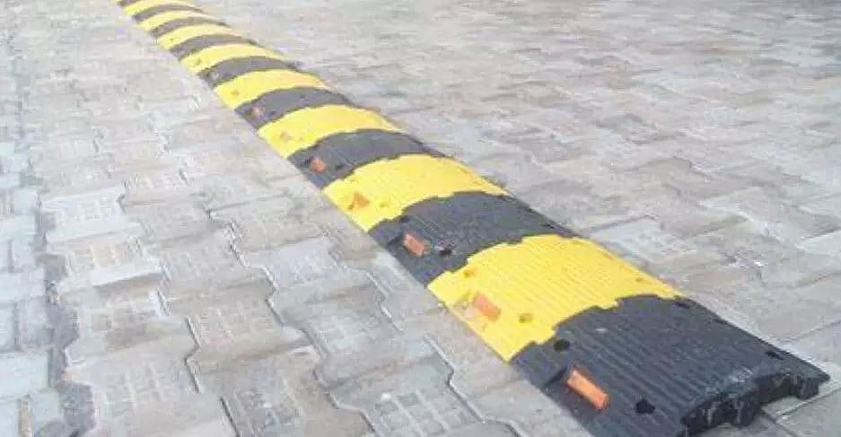 Arya Vidyapith College students urge to instill speed breakers