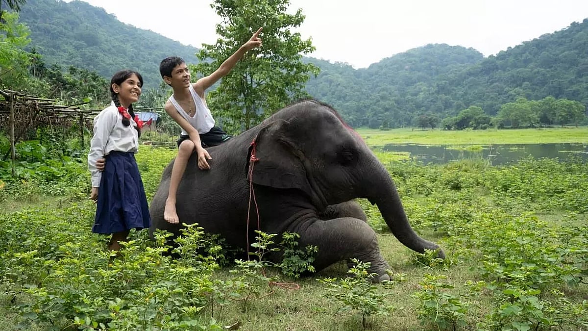 Chandra Sekhar Das’ Bapu to deal with human-animal conflict, deforestation