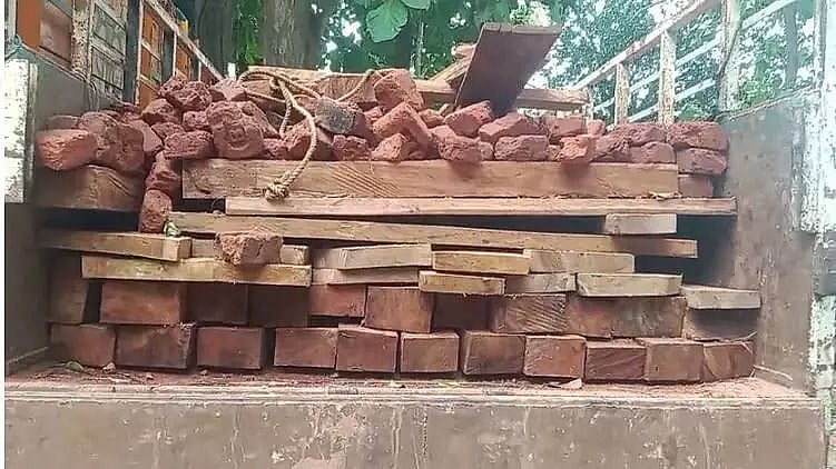 Assam: Illegal Timber Seized in West Karbi Anglong