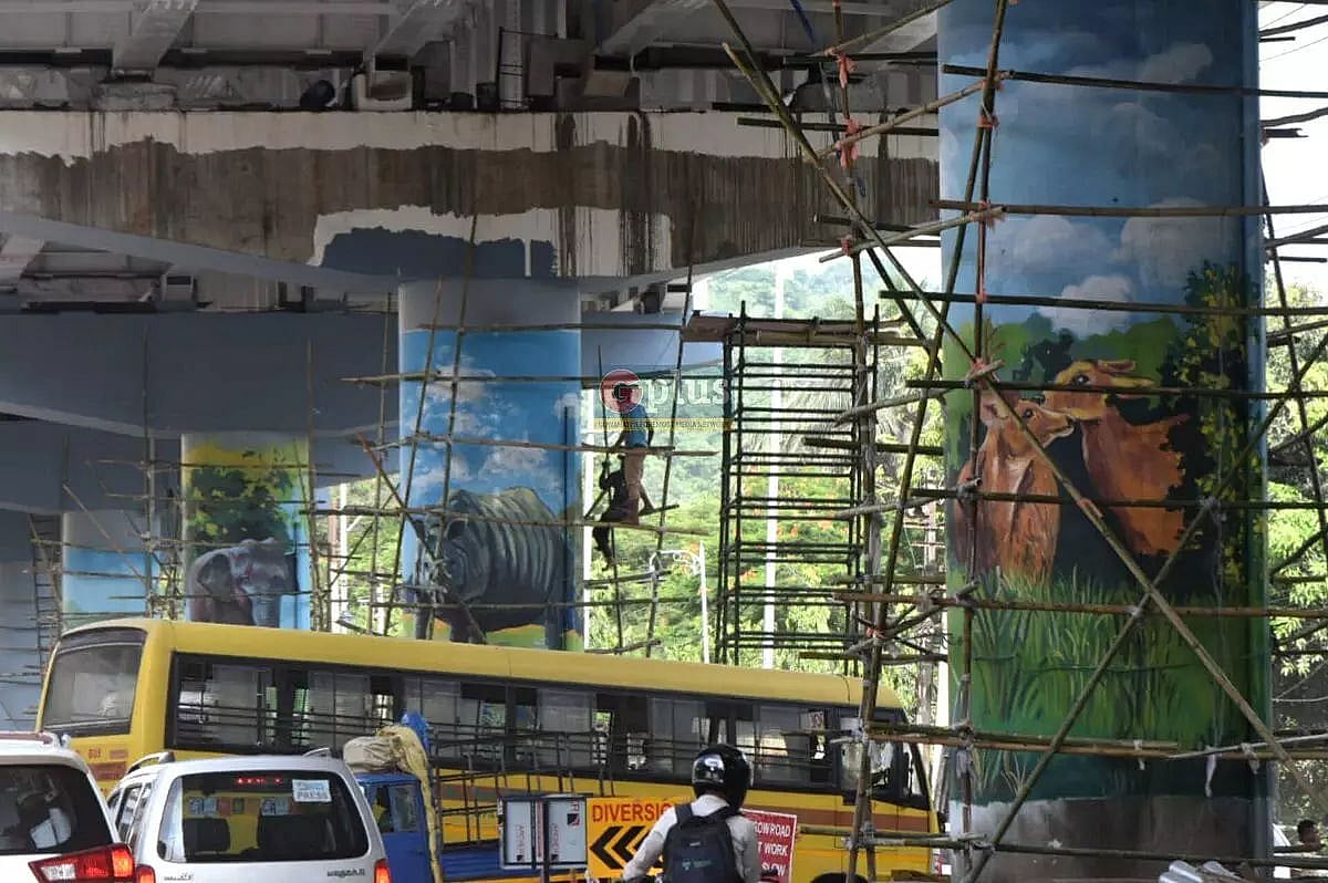 Guwahati: Artist appeals to public not to litter new Maligaon flyover