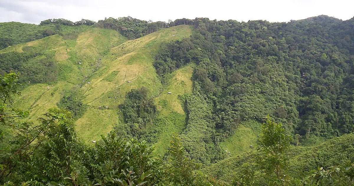 Northeast India’s Forests: The Complex Intersection of Laws and Rights