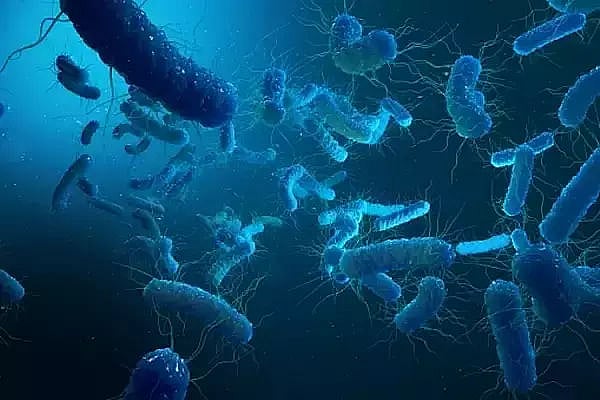 Scientists engineered bacteria to generate electricity from wastewater