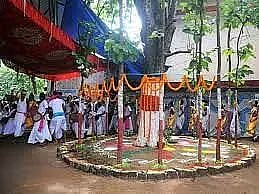 Assam: Karam Puja celebrated in northern part of Sootea