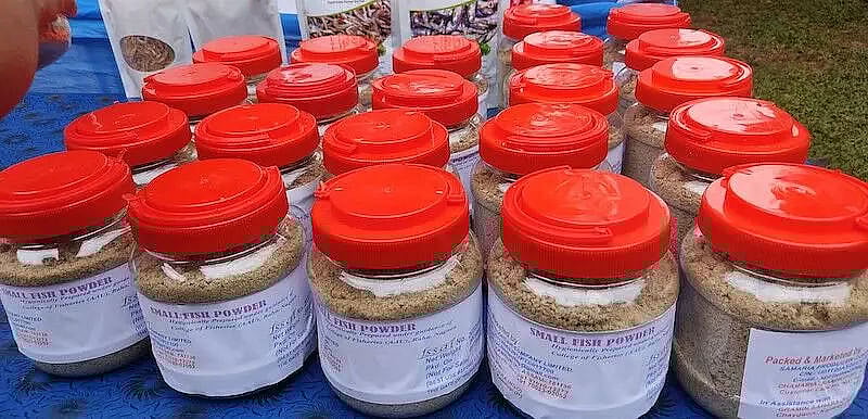 Assam: Fish powder becomes nutritional food supplement for school children