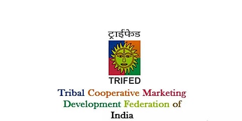 TRIFED to launch phase 2 of 'Promotion of Tribal Products for North ...