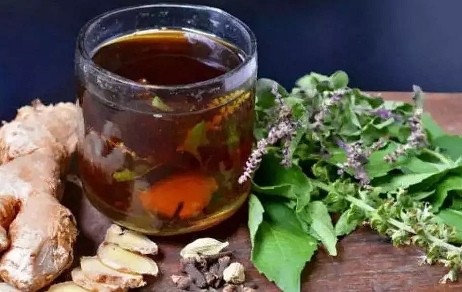 Relative of Ayurvedic therapeutic plant Chopchini rediscovered in ...