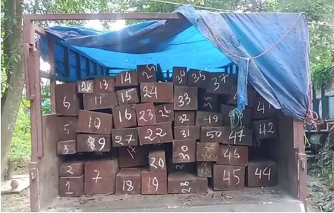 Assam: Officials Seized Large Consignment of Timber During Operation