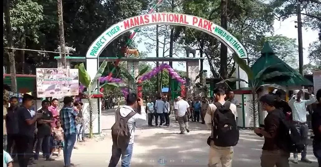 Assam: Manas National Park in Assam to Reopen for 2023-2024 Tourist ...