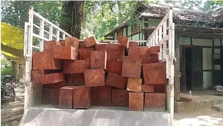 Assam: Consignment of Timber Confiscated in West Karbi Anglong