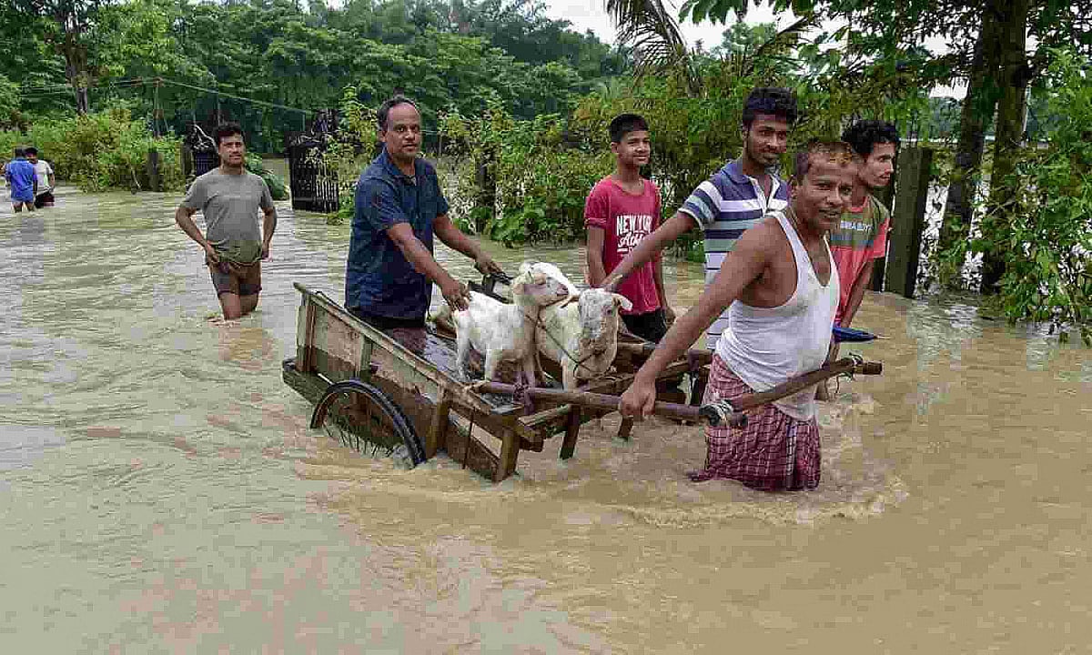 Assam: Relentless Rains Trigger Severe Flooding in Gohpur Area