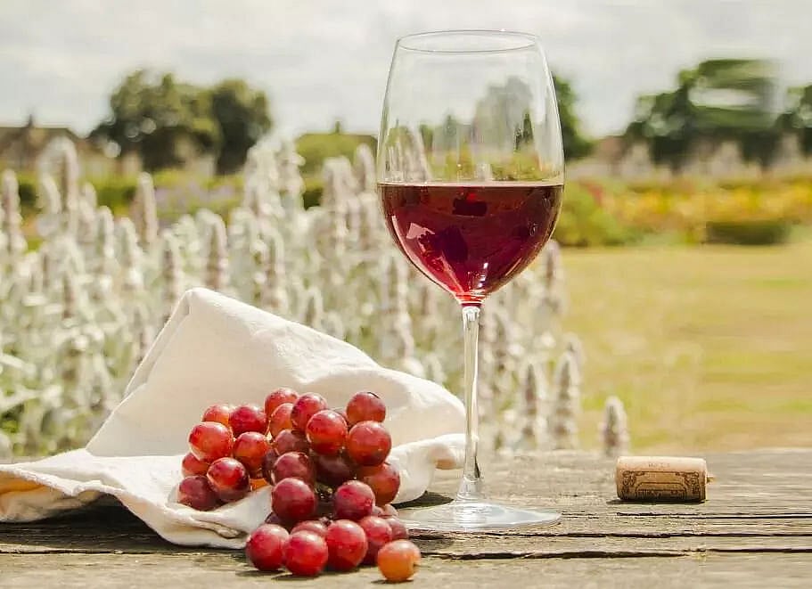 Busting Wine Myths: Unraveling 5 Common Misconceptions for True ...