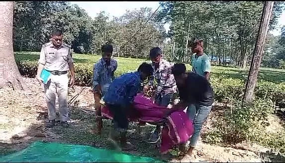 Assam: Incident of Murder Amidst Durga Puja Celebrations Triggers Panic