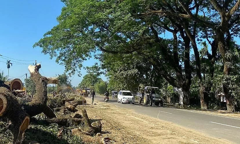 Massive tree felling continues in Dhemaji for extension of National Highway