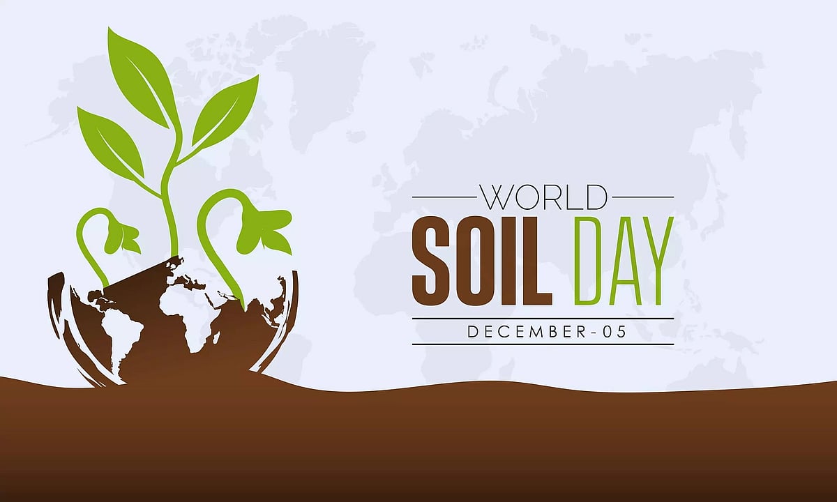 Assam: Celebrating World Soil Day; CM Urges Collective Efforts for Soil ...