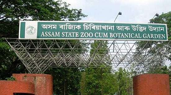 Foundation Stone Laid for Wildlife Conservation at Assam State Zoo