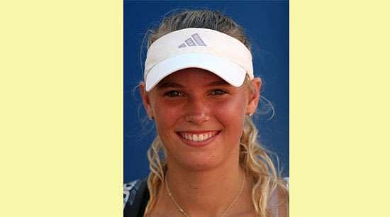 Sub-panels for tea tribe