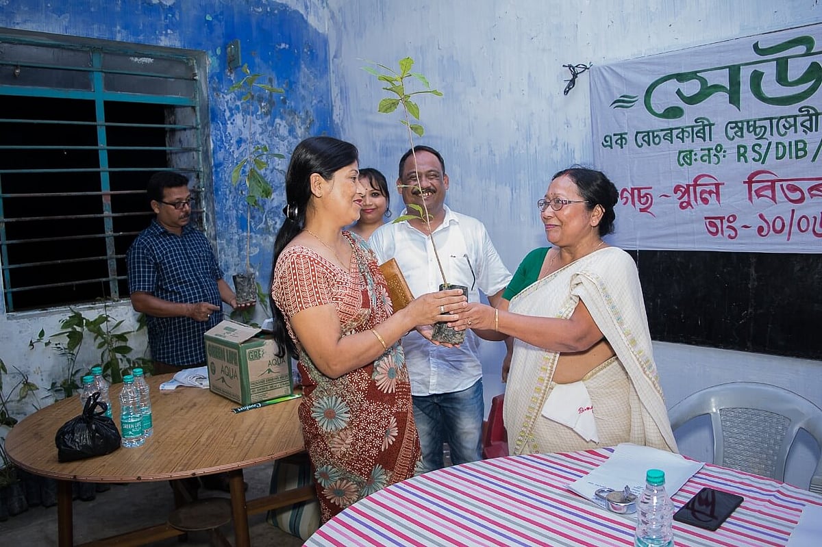 Tree sapling distribution programme