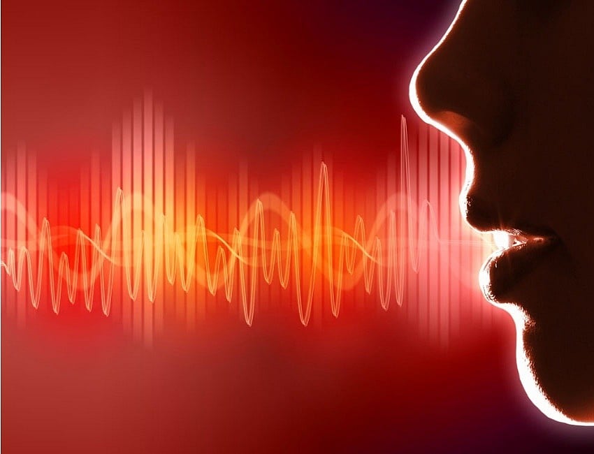 Scientists decode Possible Origin of Human Speech