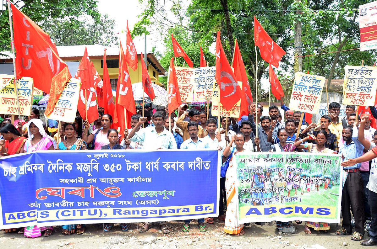 Tea workers stage protest, reiterate demand to hike daily wages