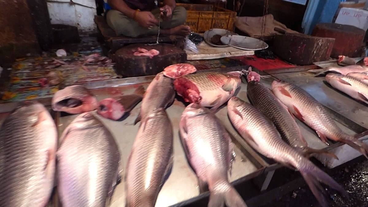 Imported fish banned for 15 days at Shillong