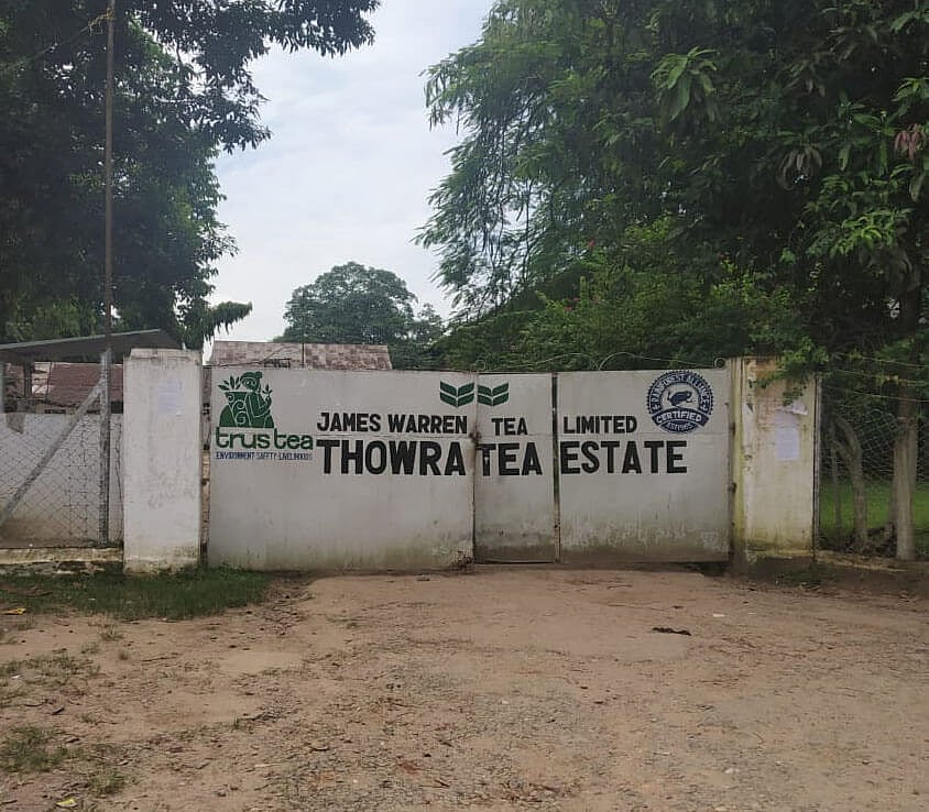 Bandhs New Threat to Tea Industry: North Eastern Tea Association