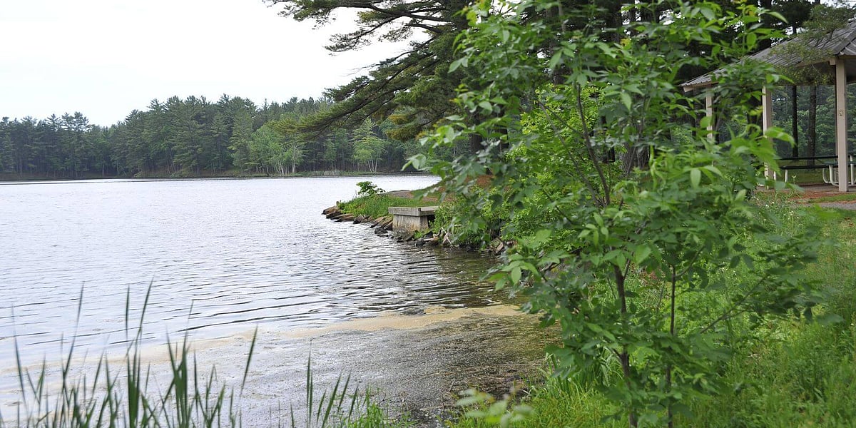 ‘Publish Pare project details’ : ACYA to Assam Government