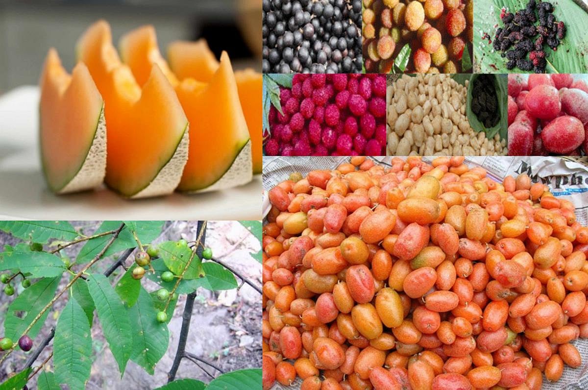 Assam fruits to get market in Hong-Kong, Dubai