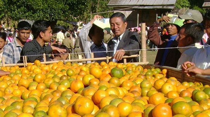 Dambuk all set for Orange festival: Arunachal Pradesh