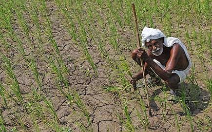 Farmers’ distress and India’s agriculture