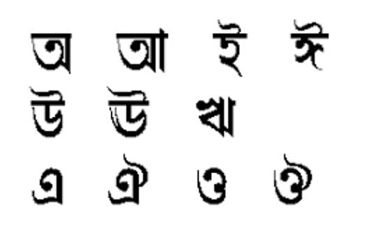 Assamese language ‘distorted’ by PWD in Mangaldai