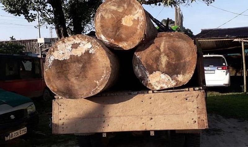 Hollong logs worth thousands seized in Digboi, Smugglers held by ...