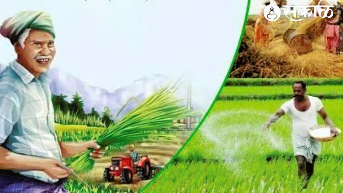 Nashik Krushi Mahotsav : नाशिक कृषी महोत्सवाकडे लोकप्रतिनिधींनी फिरवली ...