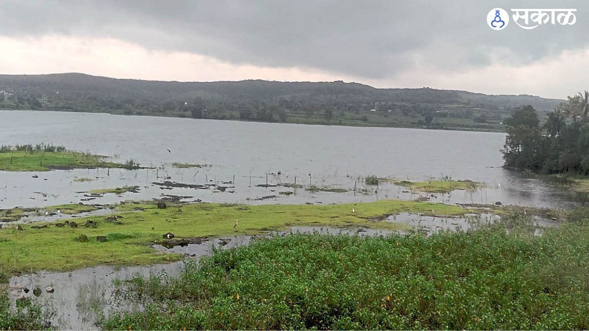 shirala morna dam 100 percent and chandoli 60 percent water storage ...