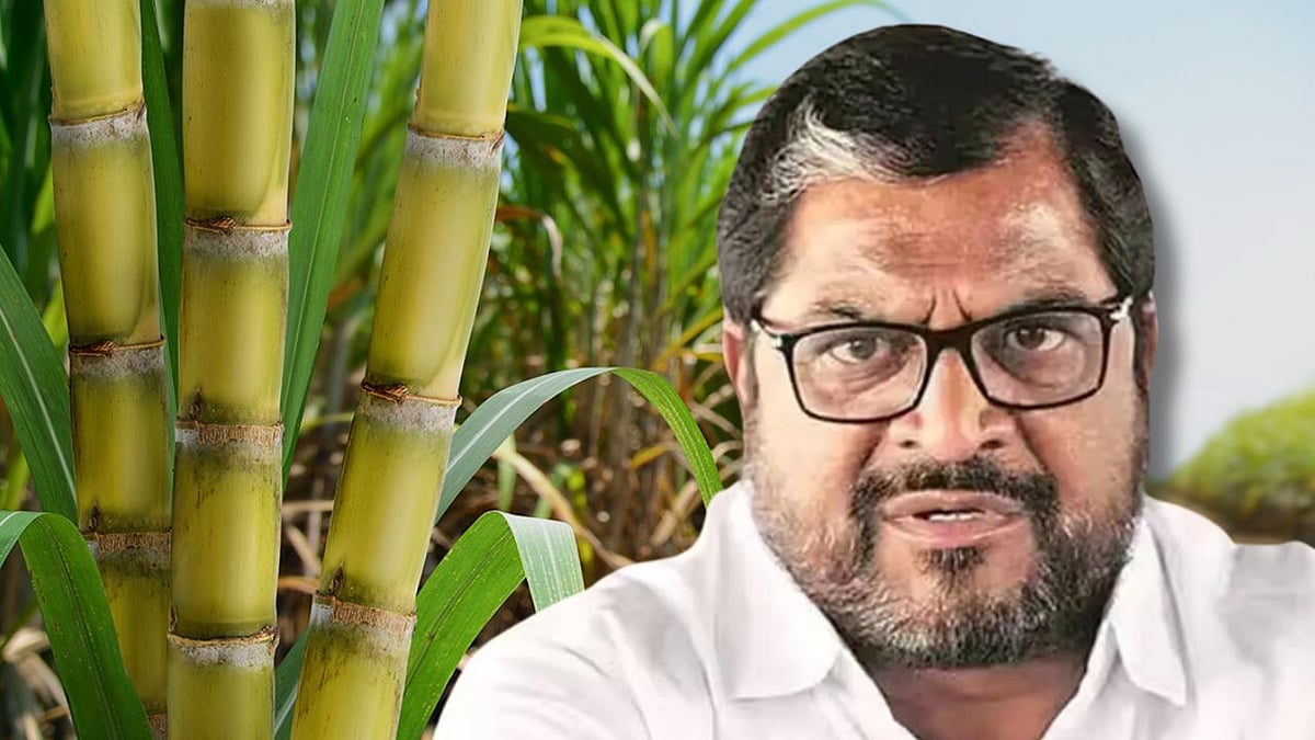 Raju Shetti : 'राज्य सरकार, साखर संघाकडून ऊस उत्पादक शेतकऱ्यांच्या ...