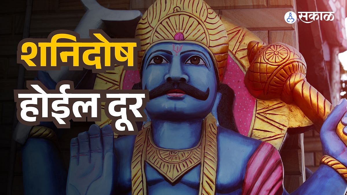 Shani Dev: घराच्या अंगणात 'शमीचे रोप' लावल्यास शनिदोष होईल दूर Planting ...