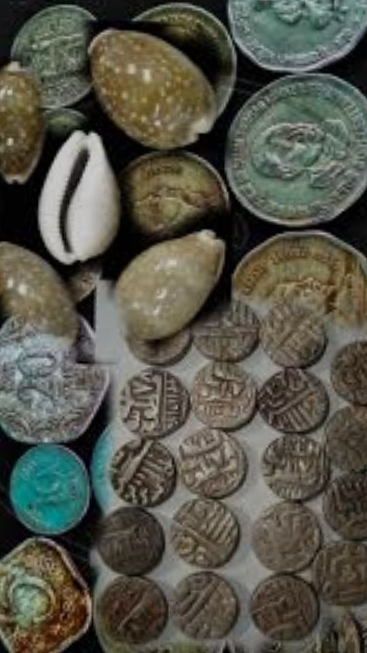 Discover the Evolution of Ancient Indian Currency: From Cowrie Shells ...