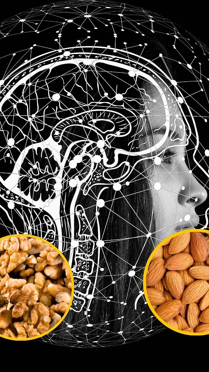 Walnuts vs. Almonds for Memory: Which is Better for Brain Health ...