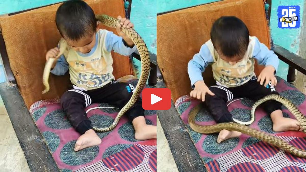 Viral Video : रिलसाठी चिमुकल्याच्या अंगावर सोडला चक्क विषारी साप अन् पुढं जे घडलं... व्हिडिओ ...