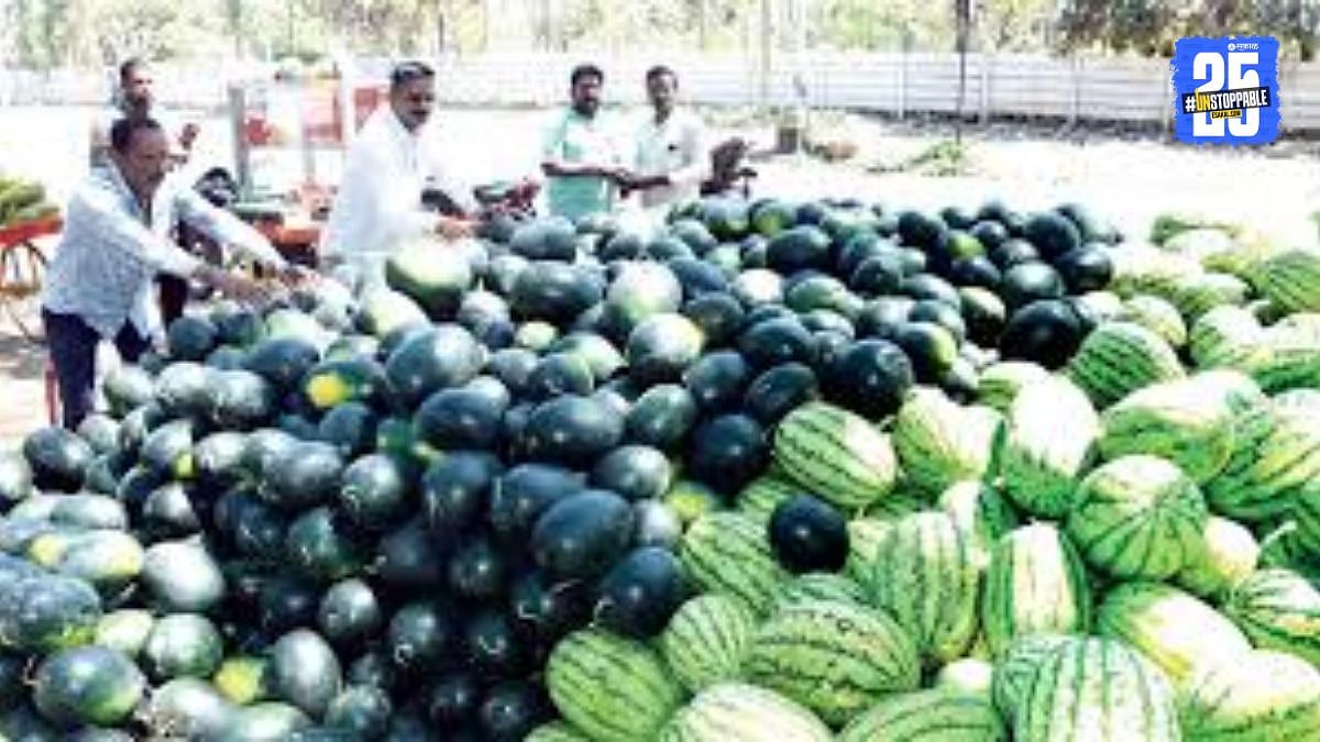 Watermelon Prices : मागणी वाढताच कलिंगड २० रुपये किलो|Watermelon Prices ...