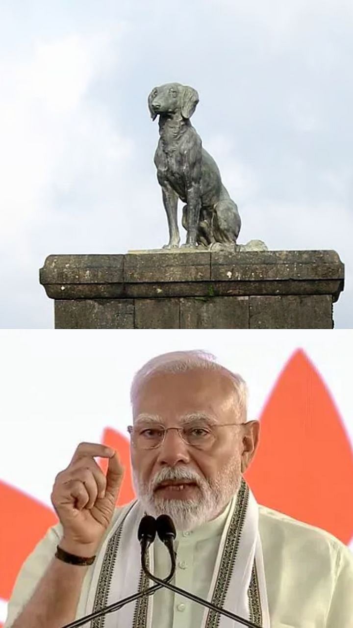 वाघ्याला विसरा, मराठ्यांचा हा श्वान करतो मोदींचही संरक्षण | Mudhol ...