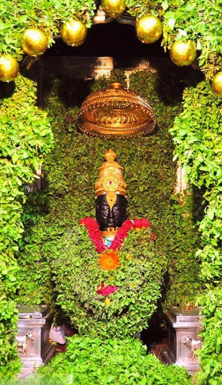 विठ्ठलाला तुलसी हार का अर्पण करतात? 'हे' आहे खास वैशिष्ट्य | WHY TULSI ...