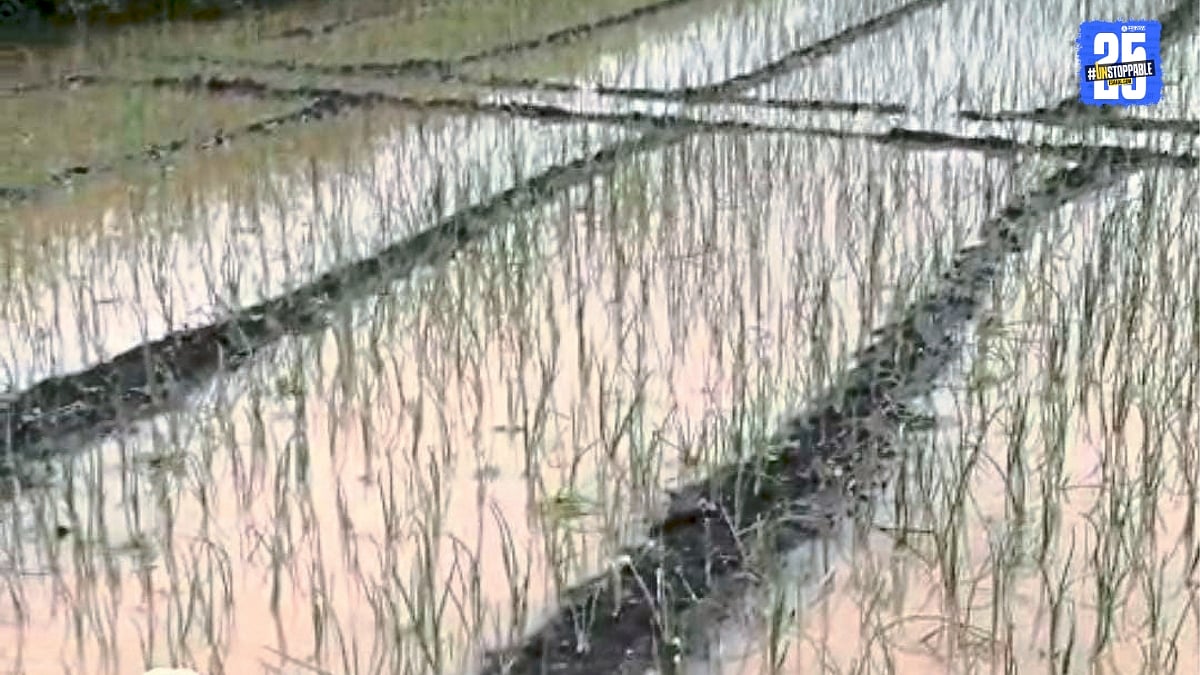 Agriculture News : दुःखातून सावरत नाही, तोच पुन्हा दणका! येवला-निफाडला ...