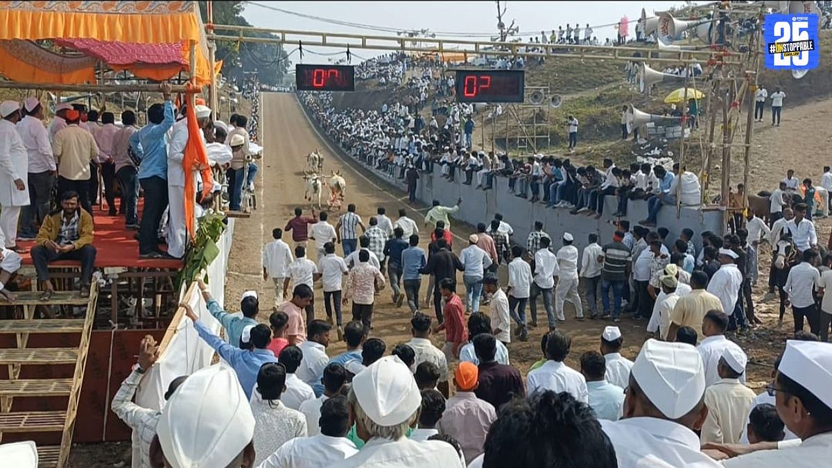 Bailgada Sharyat Ghodegaon, Ambegaon Festival, Datta Jayanti Race ...
