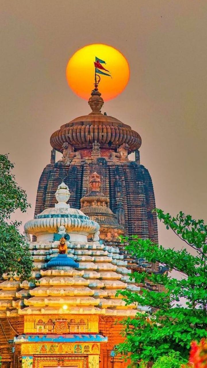जगन्नाथ मंदिरावर घारींचा थवा; 625 वर्षांपूर्वीची भविष्यवाणी काय ...
